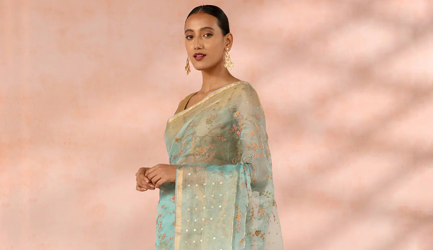 Diwali Saree Inspiration: Your Guide to Festive Elegance | Taneria