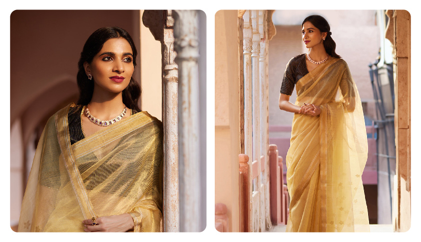 Chanderi Sarees: The Rich Heritage of Chanderi Weaving - Taneira